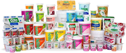 Darling Romery - Darling Romery